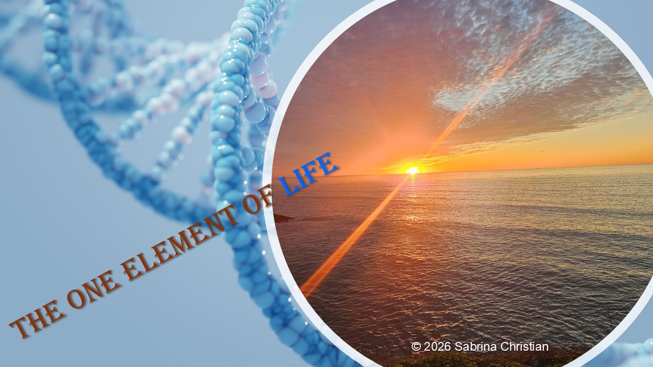 The One Element of Life – DND Meditation